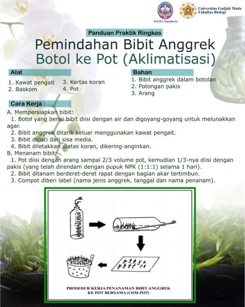ORCHID CLASS Series Terakhir “Seri #6: mengeluarkan anggrek dari botol ...