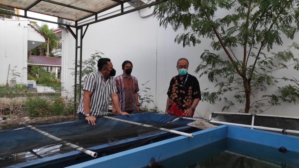 Kunjungan 2 Hari PT Kanca Mas Multikarya ke Fasilitas Budidaya Wader ...
