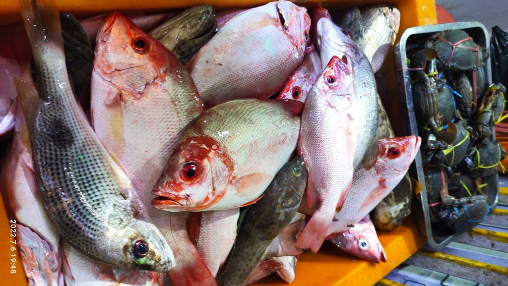 Dosen Fakultas Biologi UGM ikut terlibat dalam program pemberdayaan ...