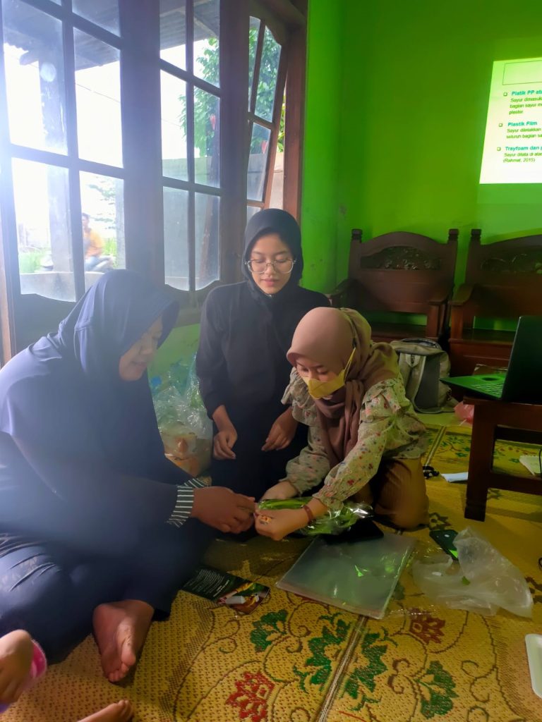 Penyuluhan PKM-MBKM: Analisis Ekonomi, Pengemasan dan Strategi ...
