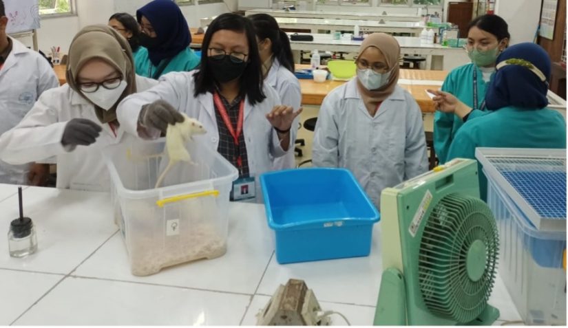 Pelatihan Penanganan Hewan Coba oleh Animal House dan Laboratorium Fisiologi Hewan 2022 ...