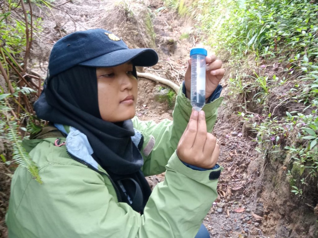 Program MBKM-Riset: Eksplorasi Lebah Corbiculate (Hymenoptera: Apidae ...
