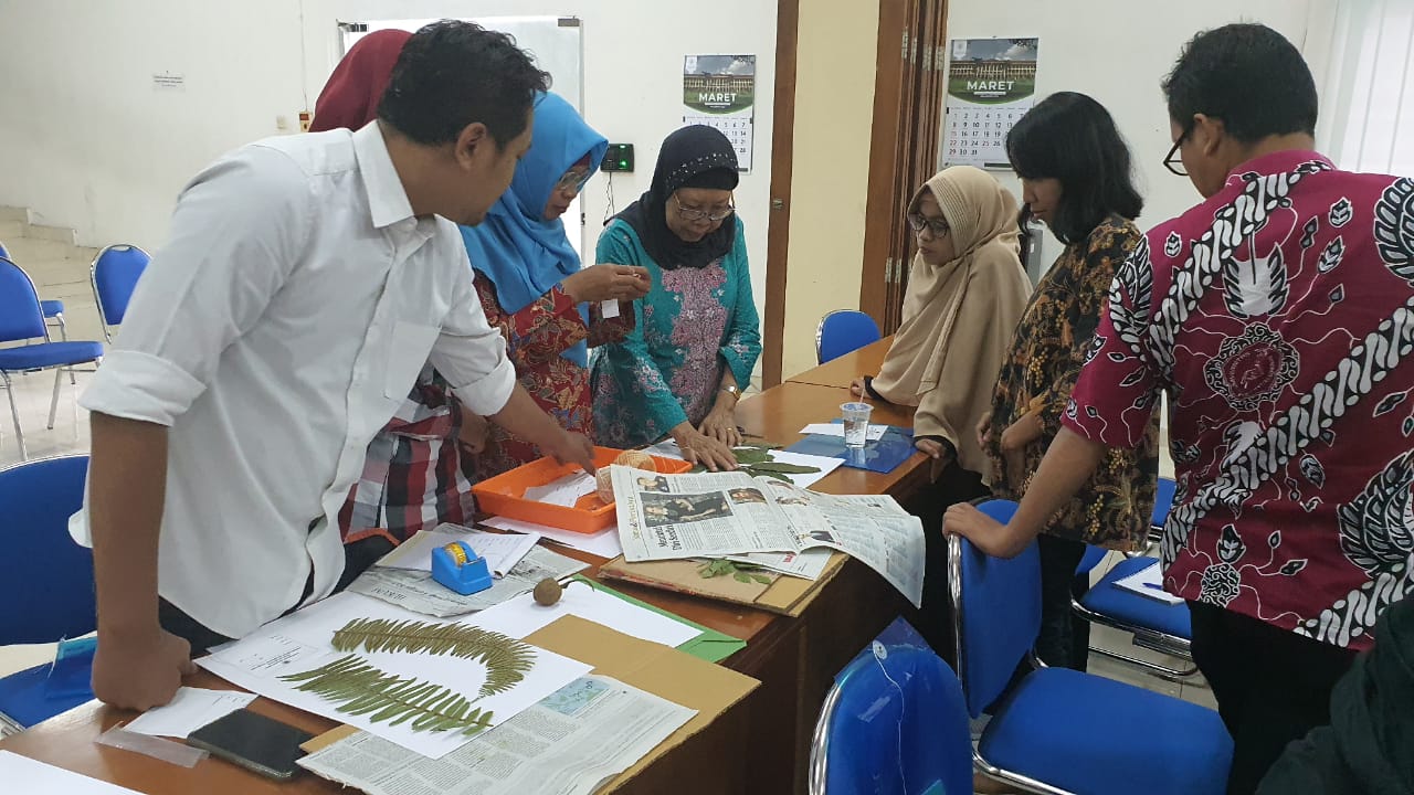 Kurikulum Program Studi PKKH – Fakultas Biologi